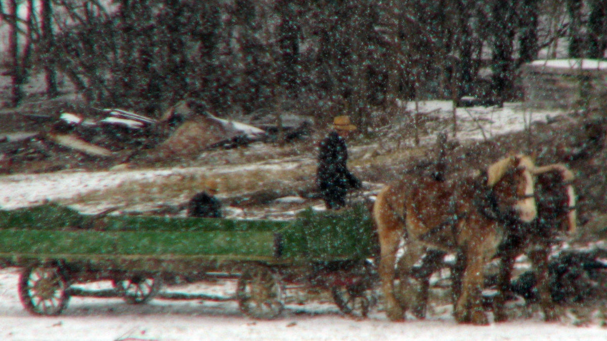La Crete, Alberta Declared "Mennonite Capital of the North"
