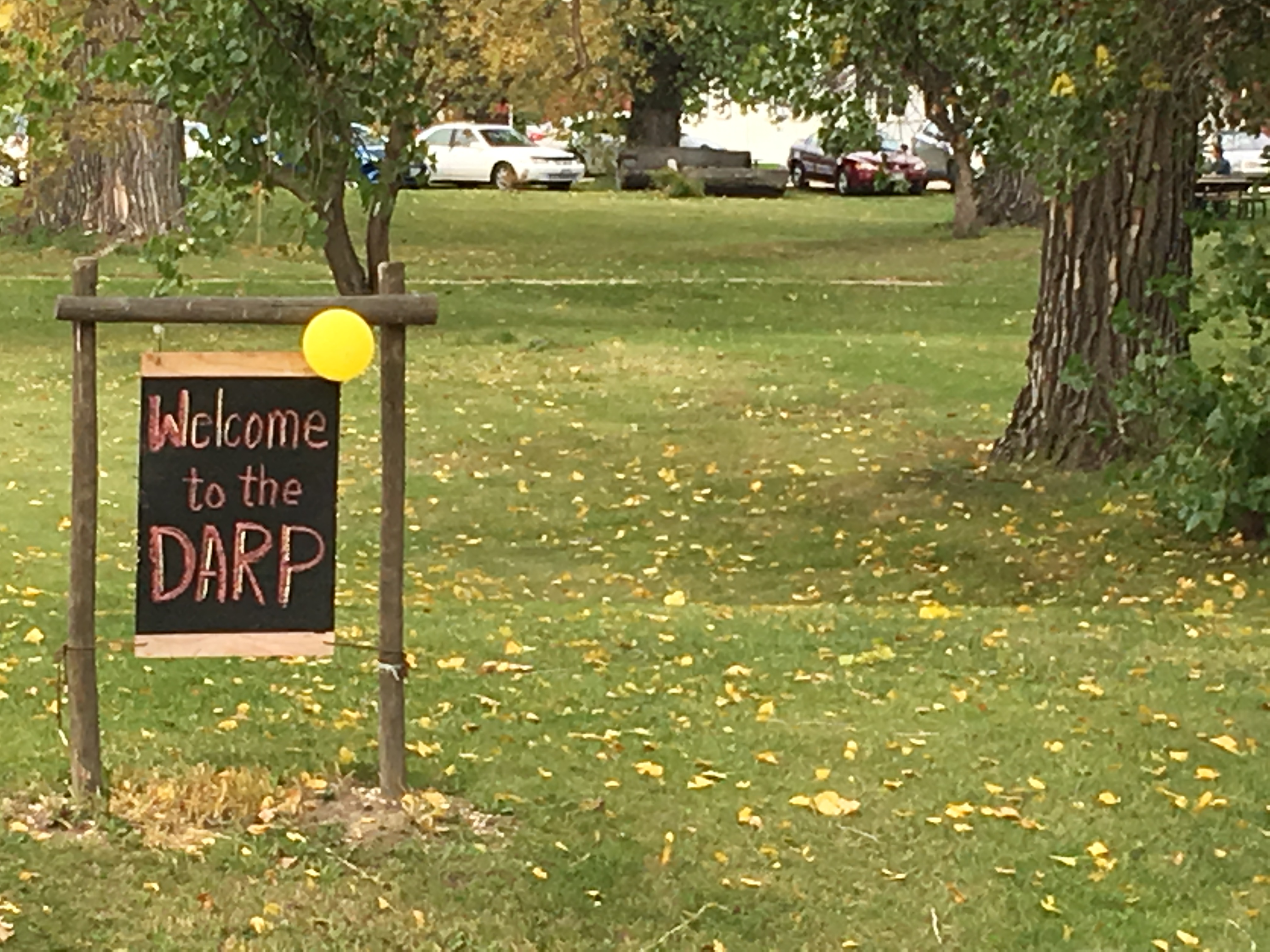 Quiz Time! Is it a darp or is it not a darp?