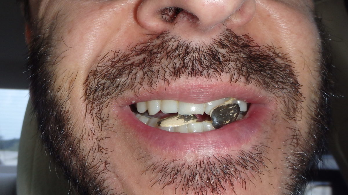 Sound of Knacking Zoat Used as Mennonite Mating Call