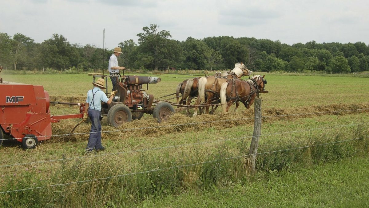 "Mock us, please!" Pennsylvania Mennonites Demand Equal Treatment by ...