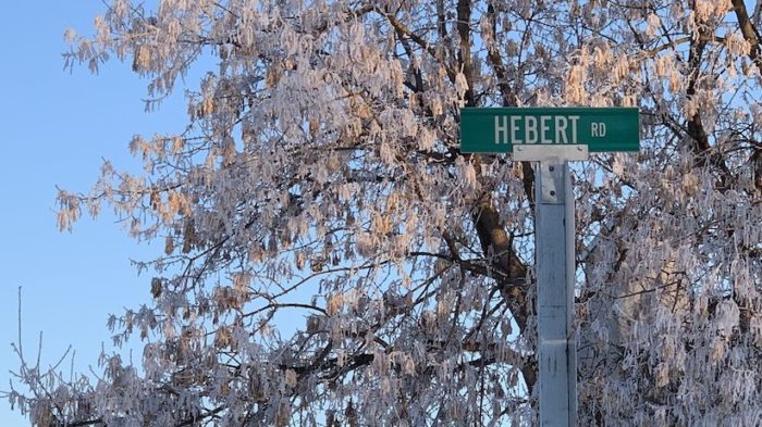 Monsieur Hebert is Sick and Tired of Being Called "Mr. Hiebert"