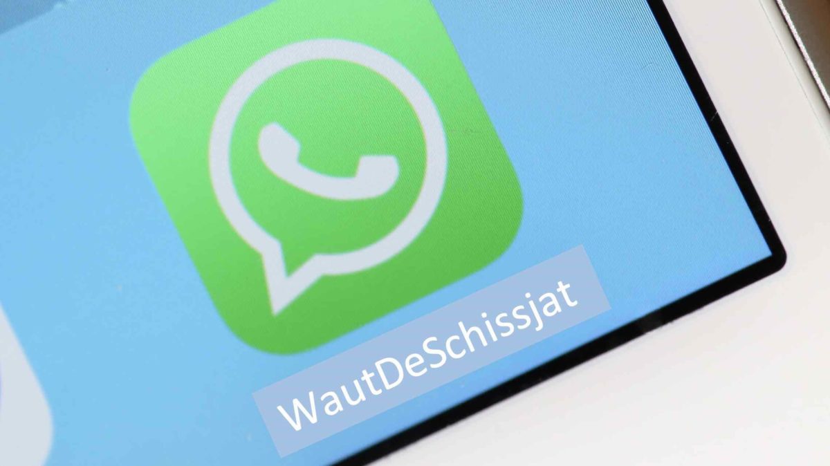 Mennonite Woman Launches New App WautDeSchissjat