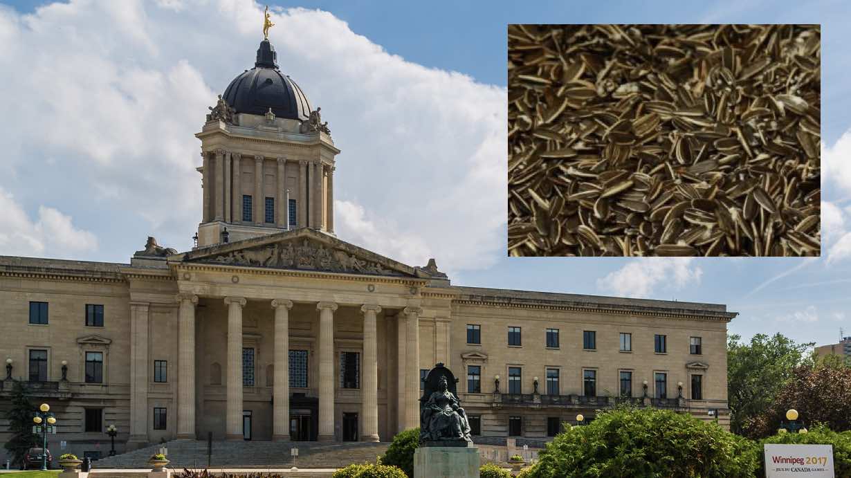 Heather Stefanson Finds Huge Mound of Zoat Left Over in Premier's Office