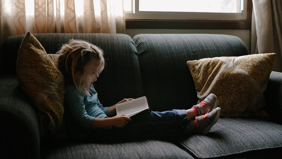 Meet the 'Steinbach Reads' 2022 Contenders: Matthew, Mark, Luke, and John